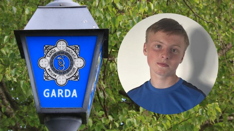 Laois gardaí issue appeal over missing teenage boy - Laois Live