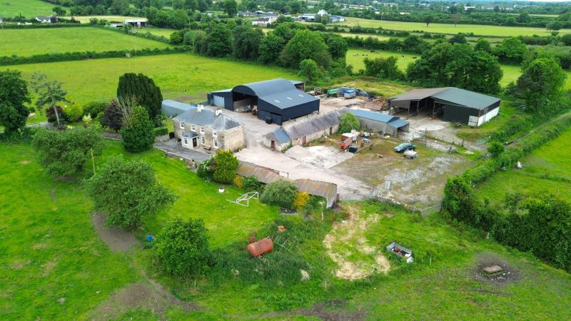50 acre Laois farm goes on the market for €750,000 - Laois Live