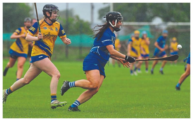 Laois Camogie's Fiona Scully looks ahead to All-Ireland final ...