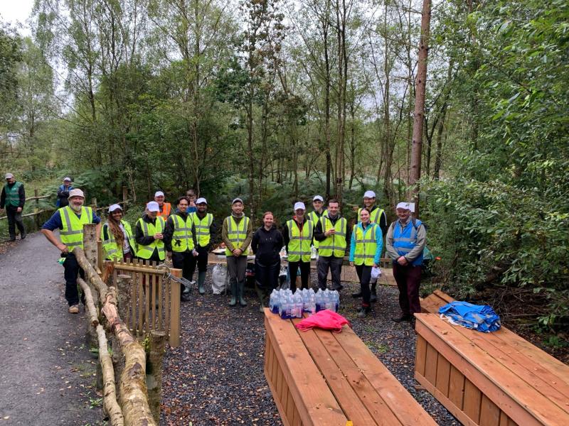 Portlaoise employees volunteer for the benefit of Abbeyleix Bog Project ...