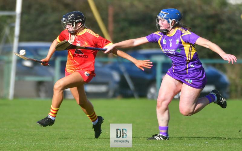 Hassett to the fore as St Brigid’s score six goals against The Harps in ...