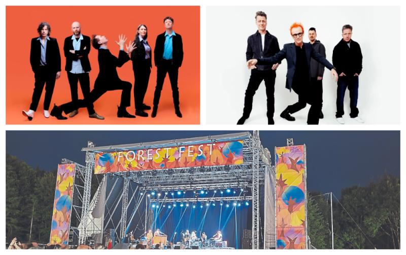 Laois' Forest Fest lineup for 2025 revealed - Laois Live