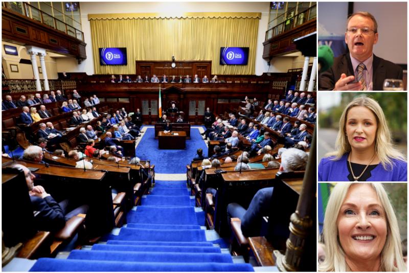 Laois TD responds to ruling on Michael Lowry's Dáil grouping that will ...