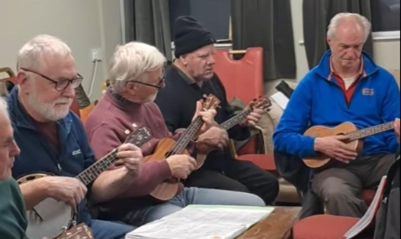WATCH: Beautiful version of Fields of Athenry by Laois Men's Shed ...