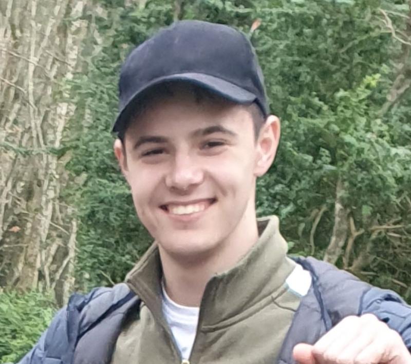 Gardaí issue appeal over teenage boy missing from Laois - Laois Live