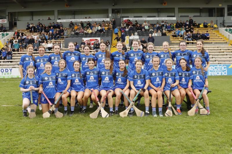 Laois Minor Camogie team prove no match as Antrim run riot in All ...