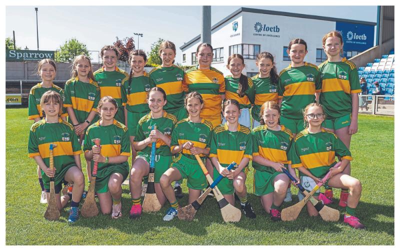 Jones' late goal sees Killadooley past Ballinakill in Roinn 3 Camogie ...