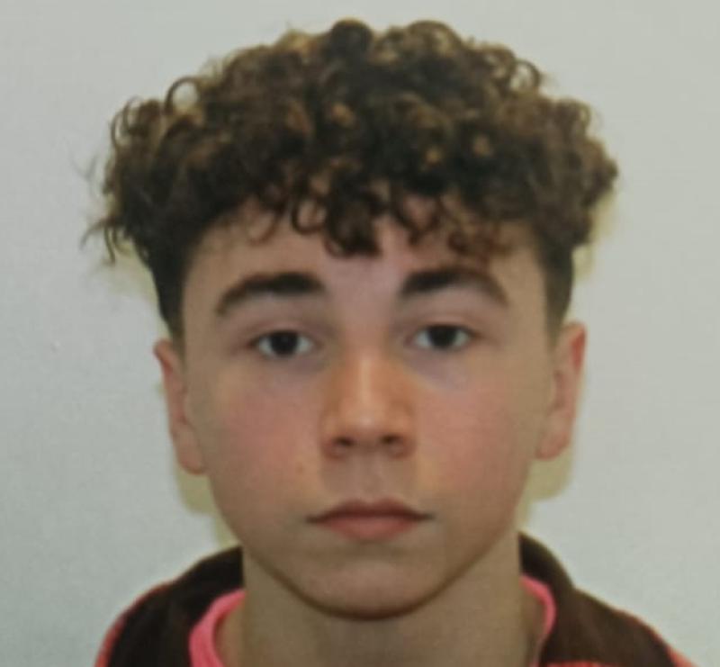 Gardaí issue appeal over missing Laois teenage boy - Laois Live