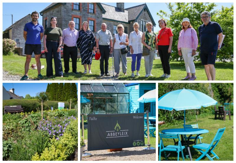 Community aims to ‘polish the gem’ that is Abbeyleix on the world stage ...