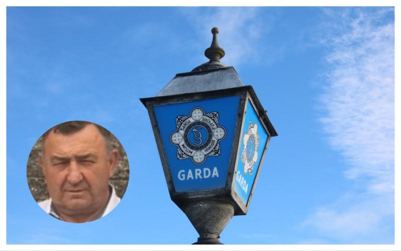 Have you seen David? Gardaí concerned for welfare of missing 60-year-old man - Laois Live