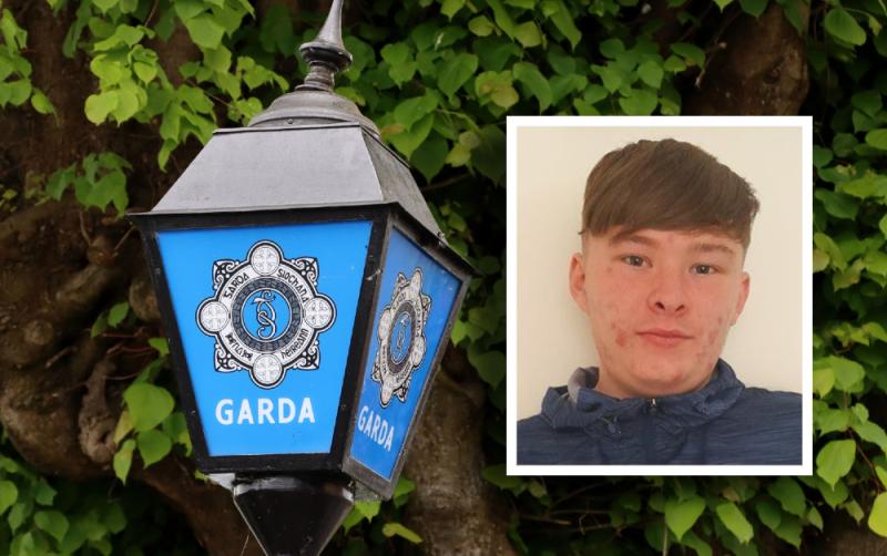 Search for teenage boy (16) missing for over a week stood down as gardaí issue update - Laois Live