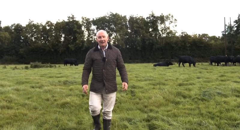 'Whose farm is that?' Jim Gavin's first campaign video causes stir on social media - Laois Live