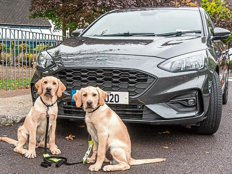 Ford raffle for Irish Guide Dogs - Laois Live