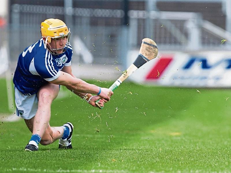 GAA hurling ace lines out to do the honours at Timahoe Walk on New Year ...