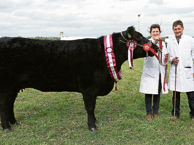 Weather hits popular Clonaslee Show in Laois - Laois Live