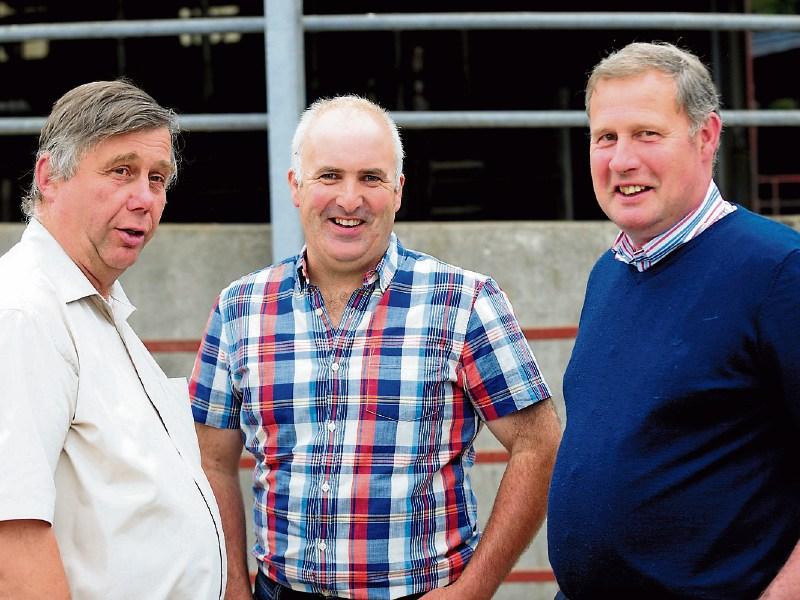 Laois Offaly Freisian Breeders celebrate 30th anniversary - Laois Live