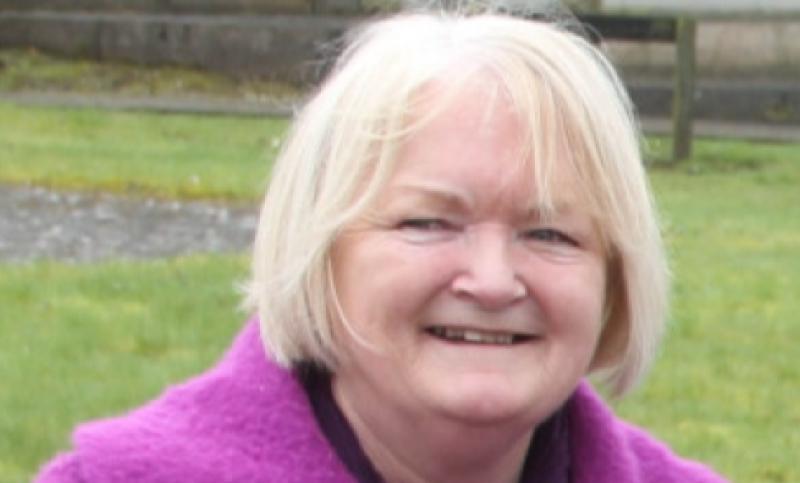 Retired Laois Fine Gael councillor plans housing development - Laois Live