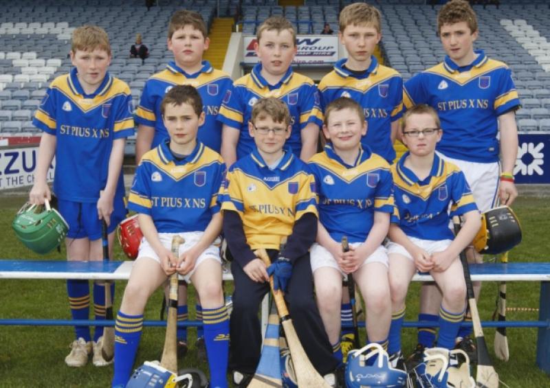 Goals prove the key for Ballacolla - Laois Live