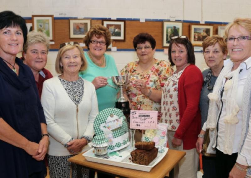 Clonaslee ICA win the Cup - Laois Live