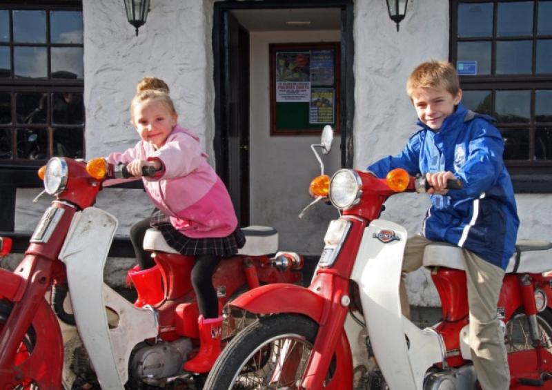 Vroom Vroom on the 50s - Laois Live