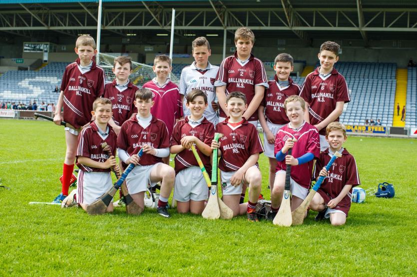 BOYS DIVISION 2 CHAMPIONSHIP - Paddock see off Ballinakill after ...