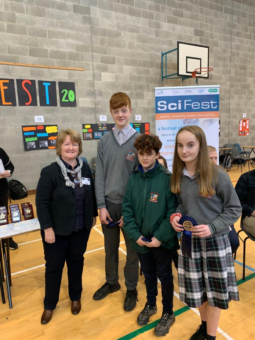 GALLERY: Prosthetics for pets among Portlaoise College SciFest projects ...