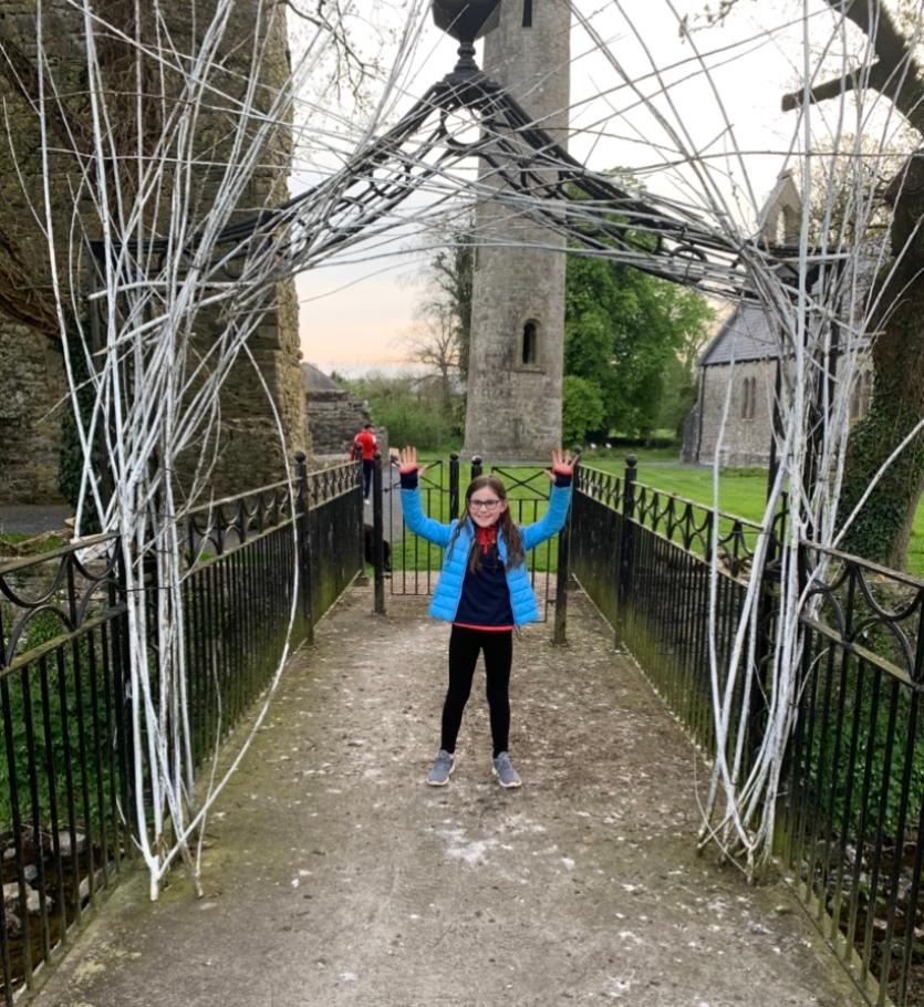 PHOTOS: Stunning images of Laois snapped by Leinster Express readers ...