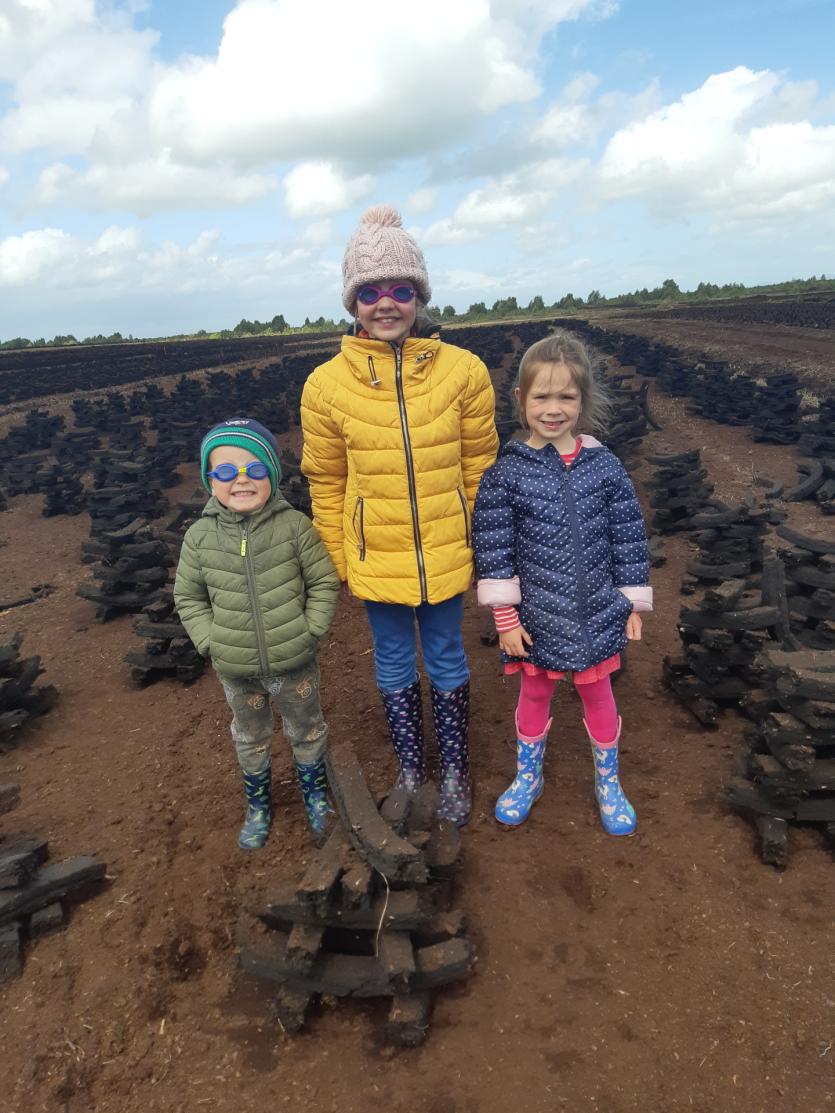 COSTA DEL SOD: Your amazing photos of bog life in Laois - Photo 1 of 25 ...