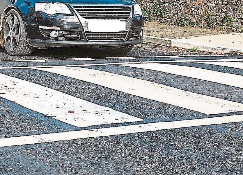 Ramp signs on the Ridge Road to reduce speed - Leinster Express
