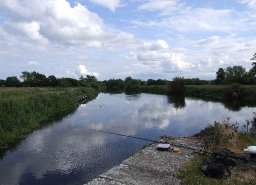 Multi-million Euro injection for Laois and Kildare river amenity ...