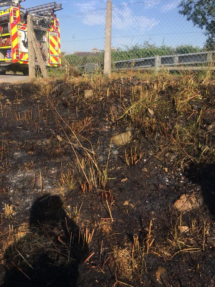 Laois fire service appeal to smokers after roadside fire - Laois Live