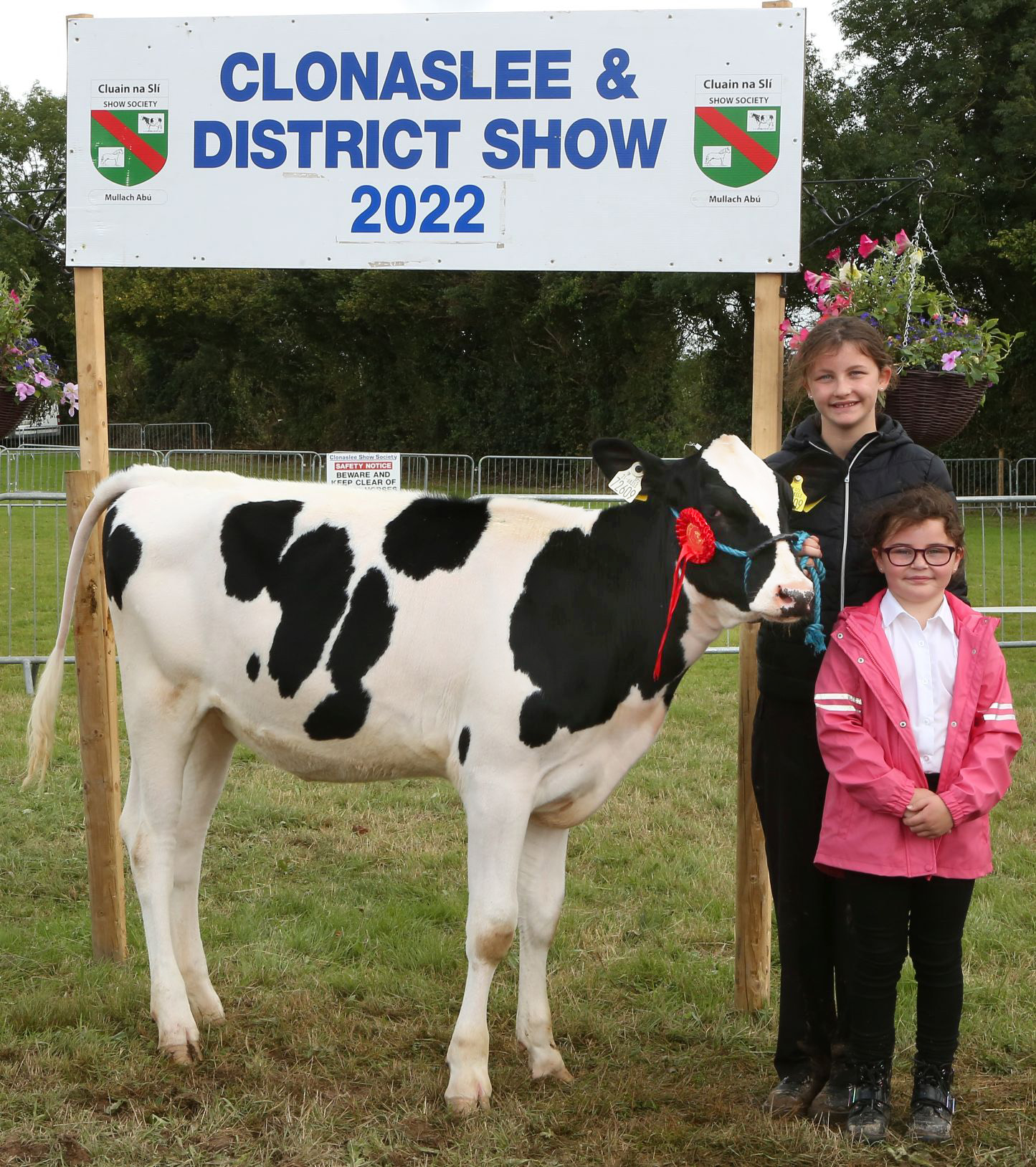IN PICTURES: Offaly people flock to Clonaslee Show despite the wet ...