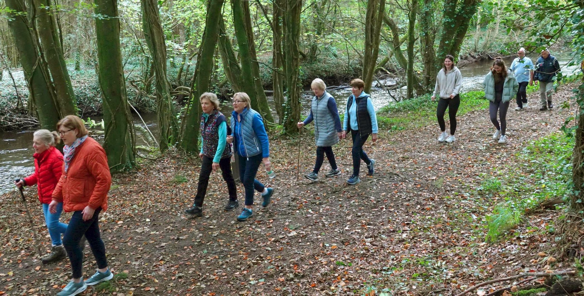 IN PICTURES: Big group of Laois walkers enjoy Durrow Leafy Loop - Page ...