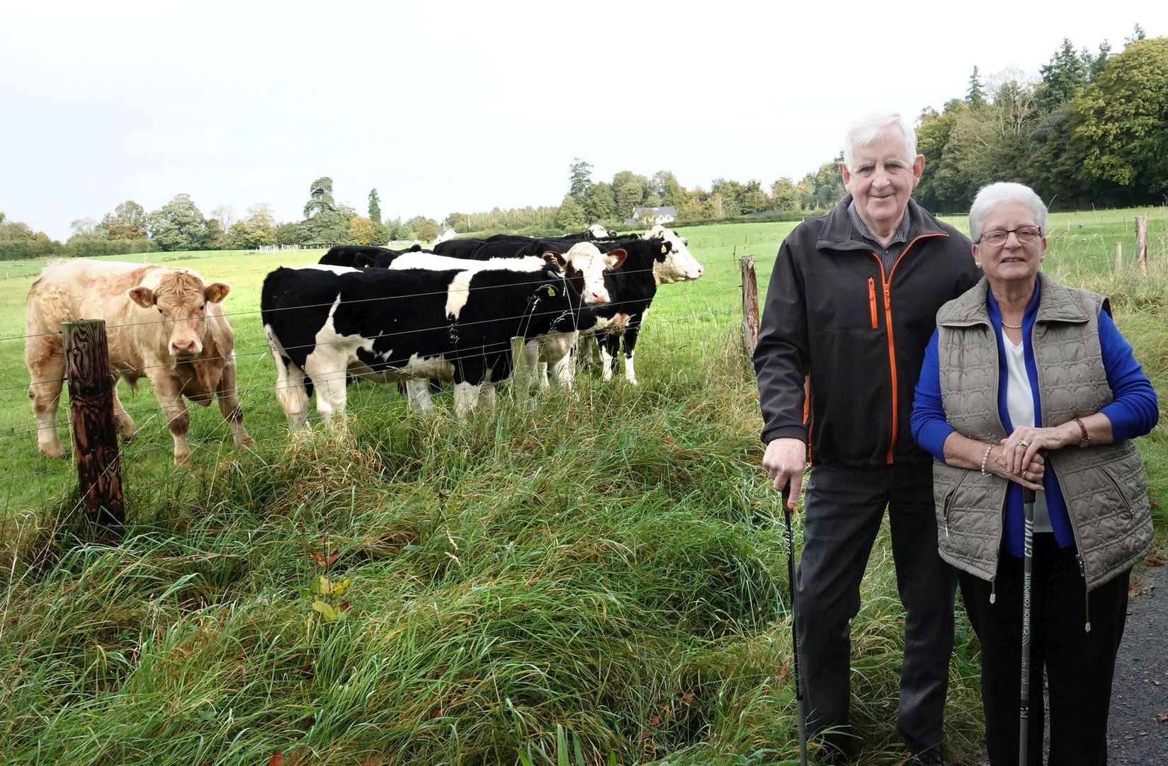 IN PICTURES: Big group of Laois walkers enjoy Durrow Leafy Loop - Page ...