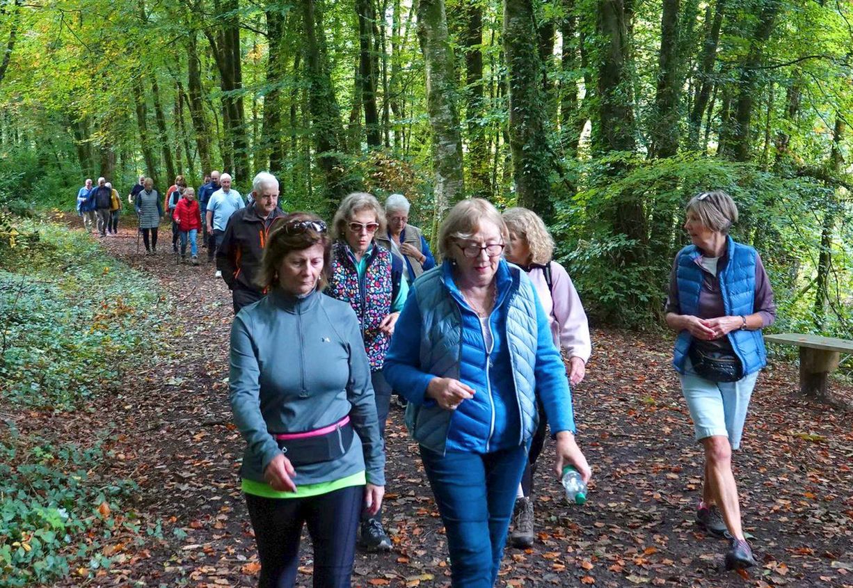 IN PICTURES: Big group of Laois walkers enjoy Durrow Leafy Loop - Page ...