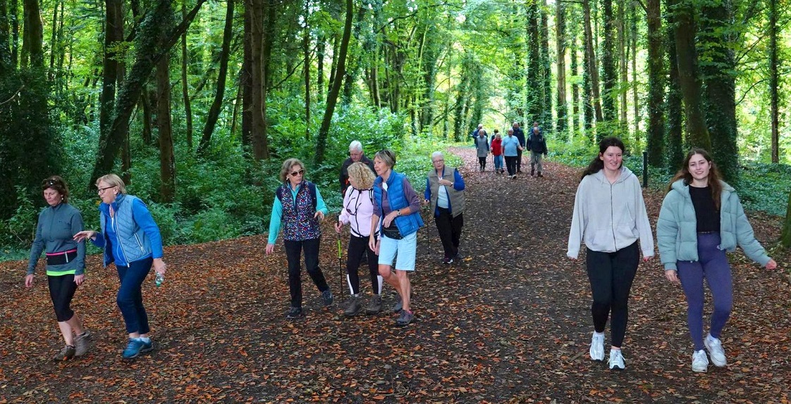 IN PICTURES: Big group of Laois walkers enjoy Durrow Leafy Loop - Page ...