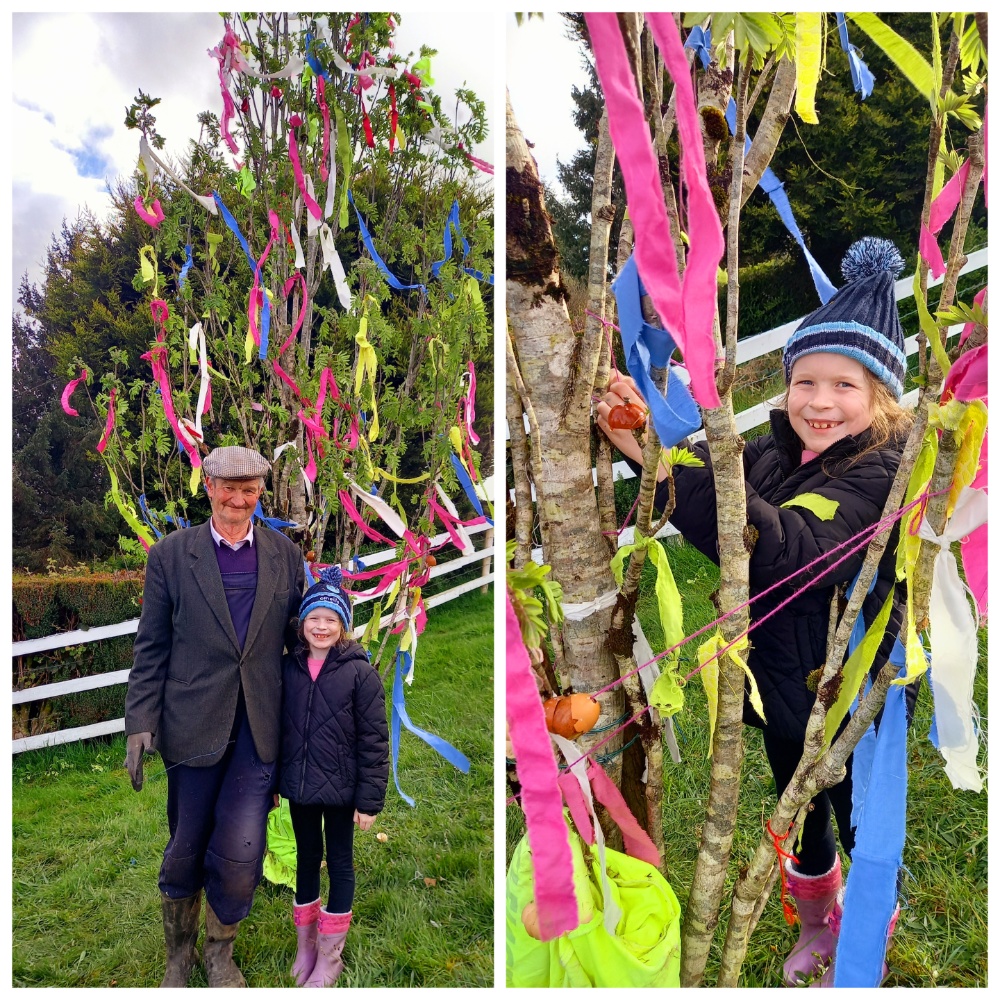 Laois grandfather keeping the May Bush tradition alive - Laois Live