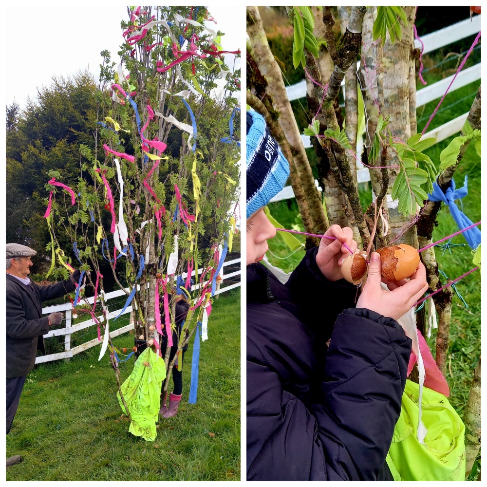 Laois grandfather keeping the May Bush tradition alive - Laois Live