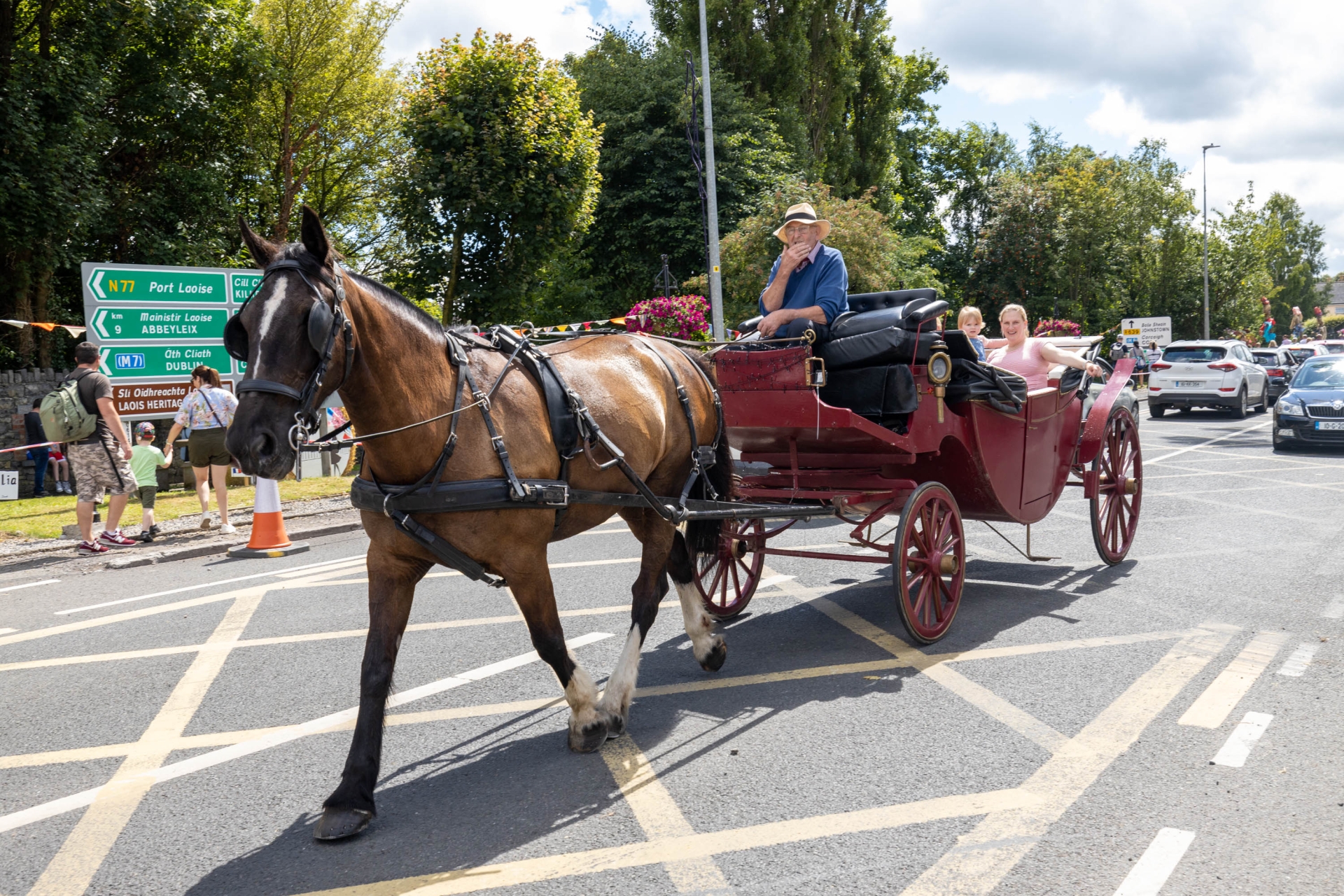 Laois Festival set to fly the coop after final fling - Ireland Live