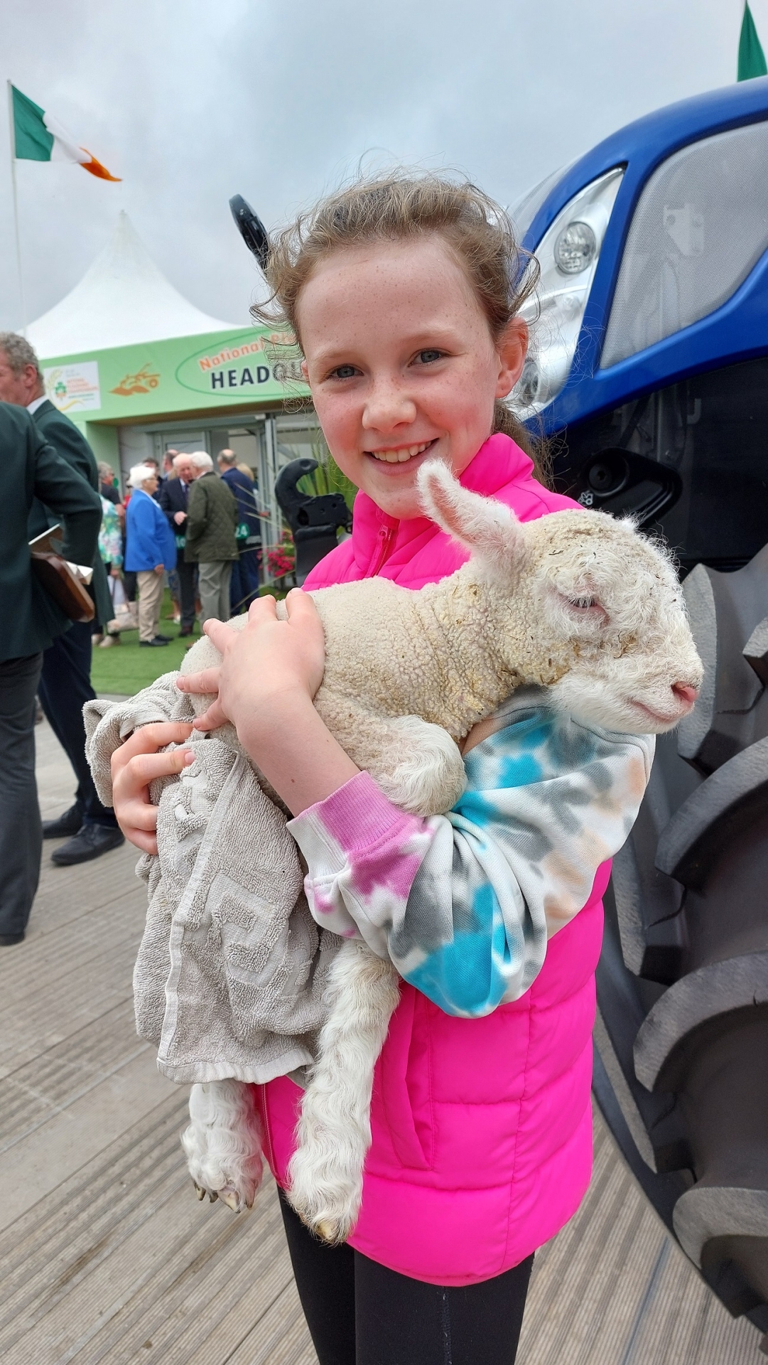 Near worthless sheeps wool used for farm roads and tomatoes - Laois Live