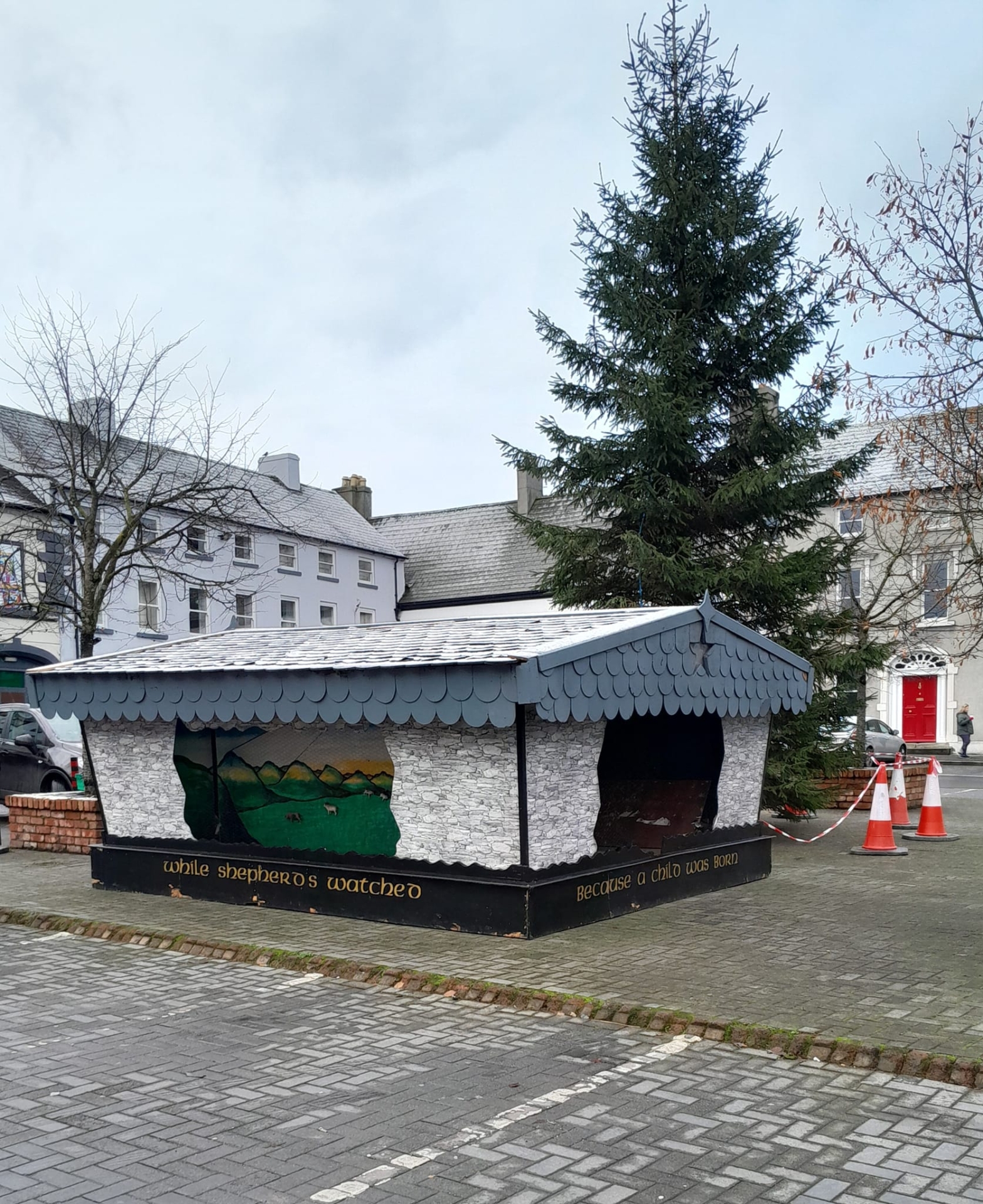 PICTURES: Mountmellick has possibly the biggest real Christmas tree in ...